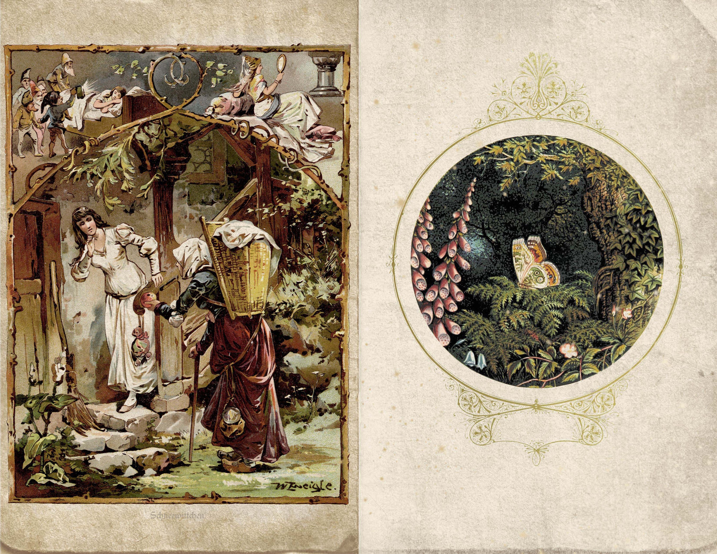 Digital Fairy Tale Pages Printable Kit for Junk Journals | Etsy