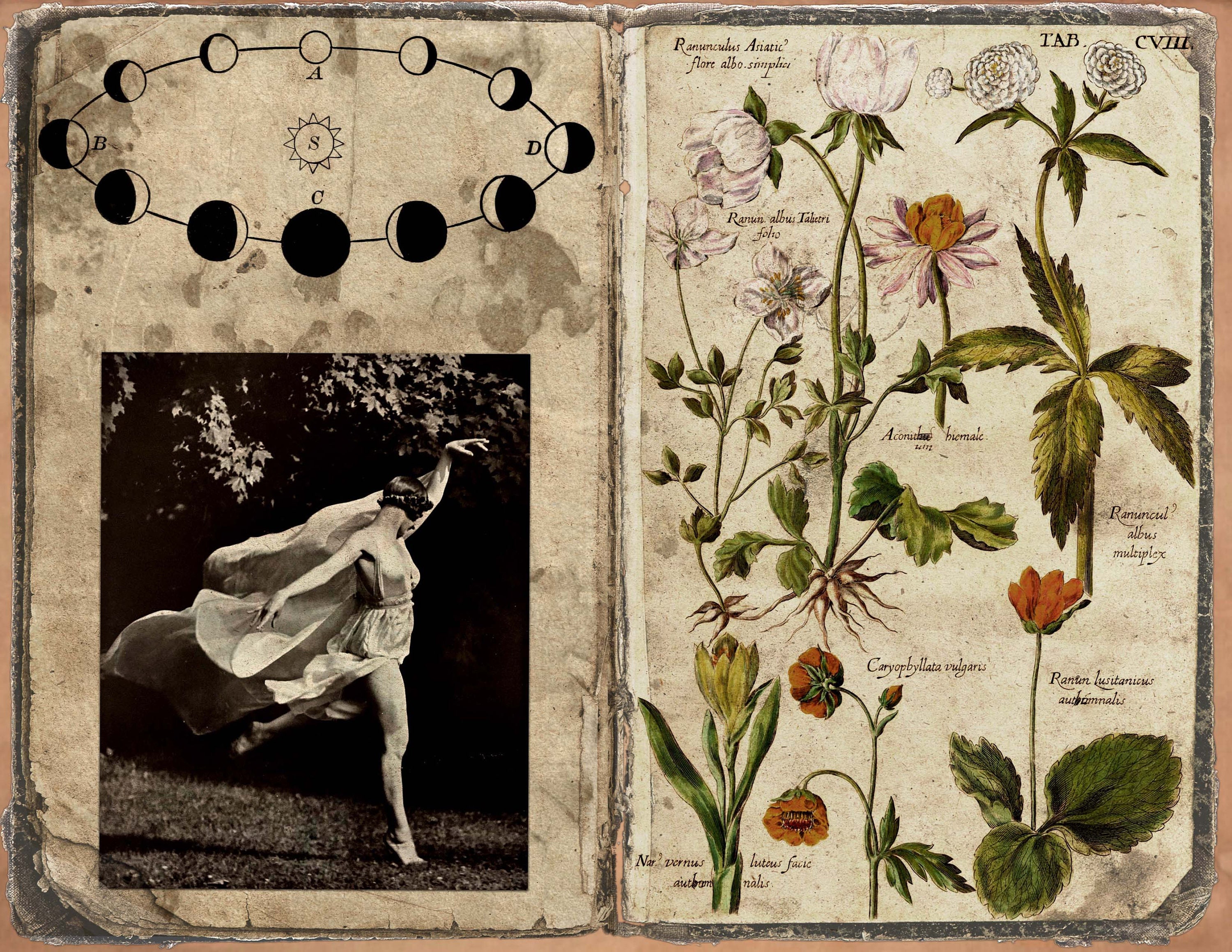Forest Gypsy Junk Journal Pages, Printable Boho Ephemera (digital ...