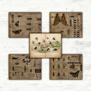 Digital Bundle Insects and Butterflies Kit, Printable Ephemera for Junk ...