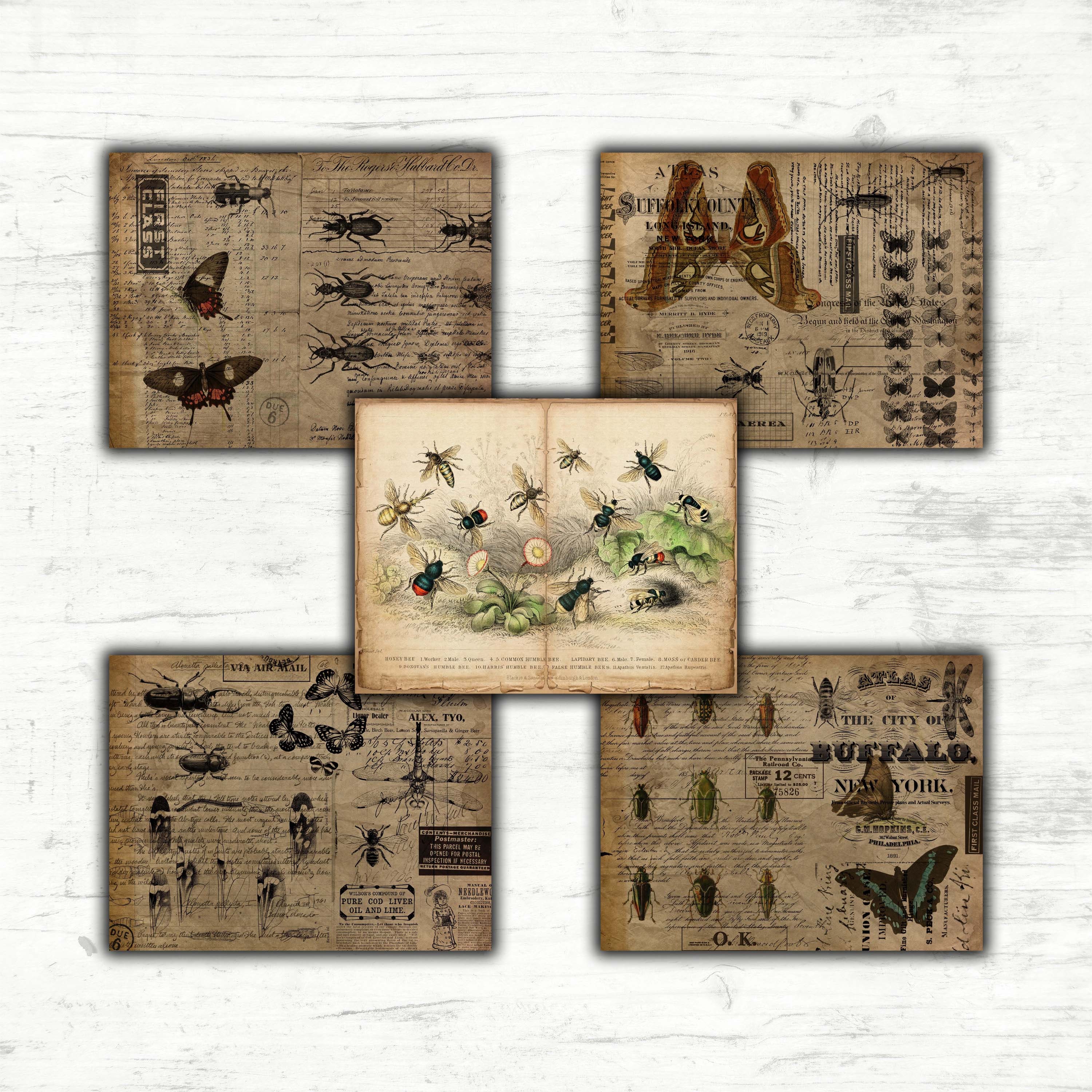 Digital Bundle Insects and Butterflies Kit, Printable Ephemera for Junk ...