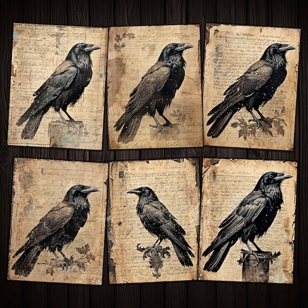 Raven Art Print - Etsy