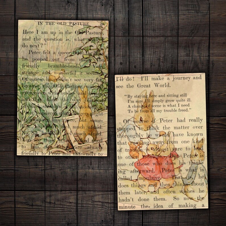 Peter Rabbit Junk Journal Printable Pages 6x4 Beatrix Potter - Etsy