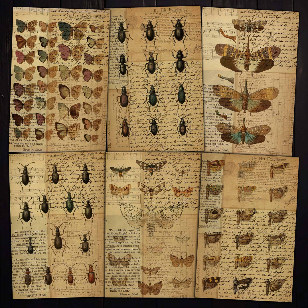 Grunge Insects Printable Antique Ephemera 6x4 Pages for Junk Journals ...