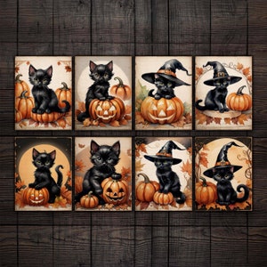 Halloween Kittens Printable Papers: Black Cat & Pumpkins (digital ...