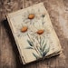 Daisy Flowers Antique Ledger Ephemera Pages: Junk Journal Kit (digital ...