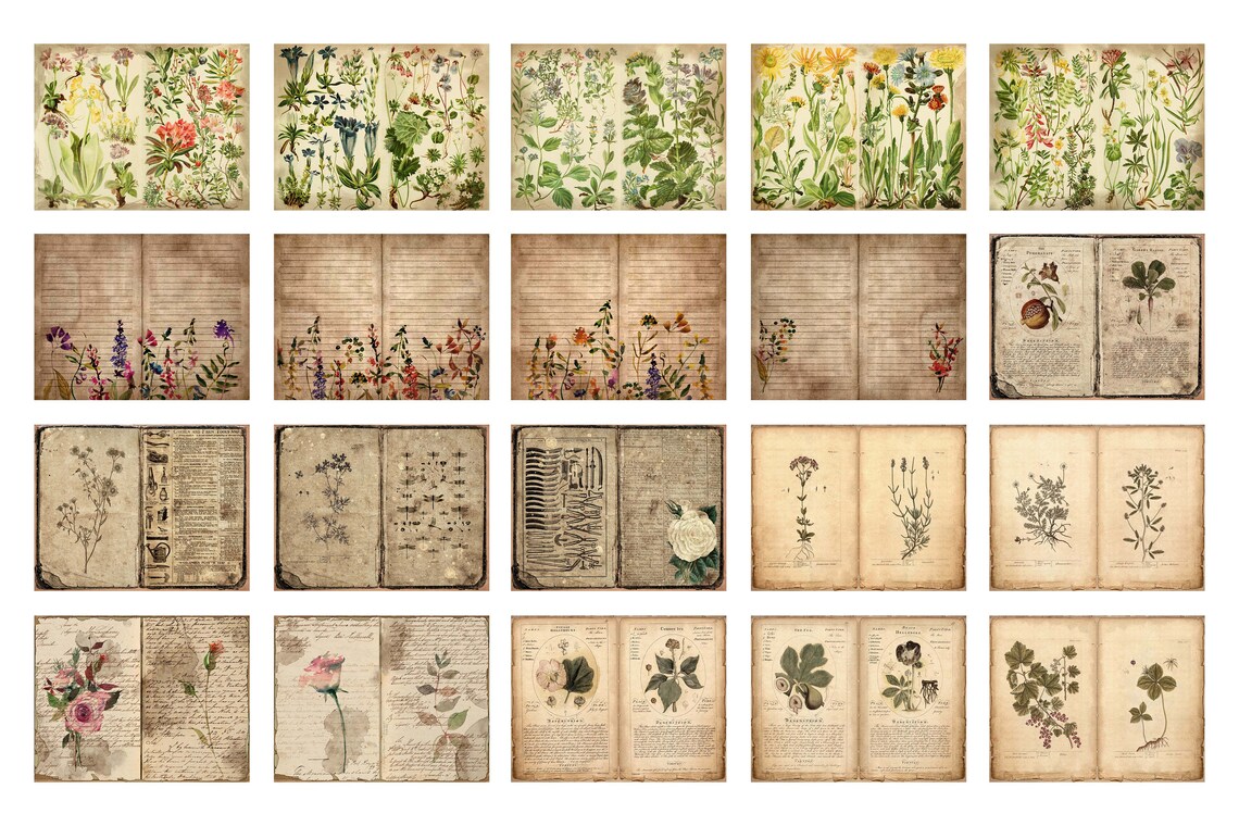 Botanical Printable BUNDLE Digital Pages Papers Ephemera - Etsy