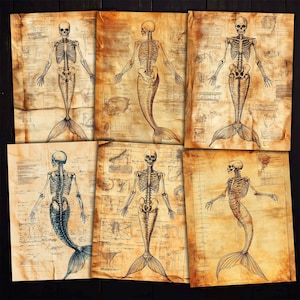 Mermaid Skeleton Anatomy Print: Antique Collage Sheet (digital Download ...