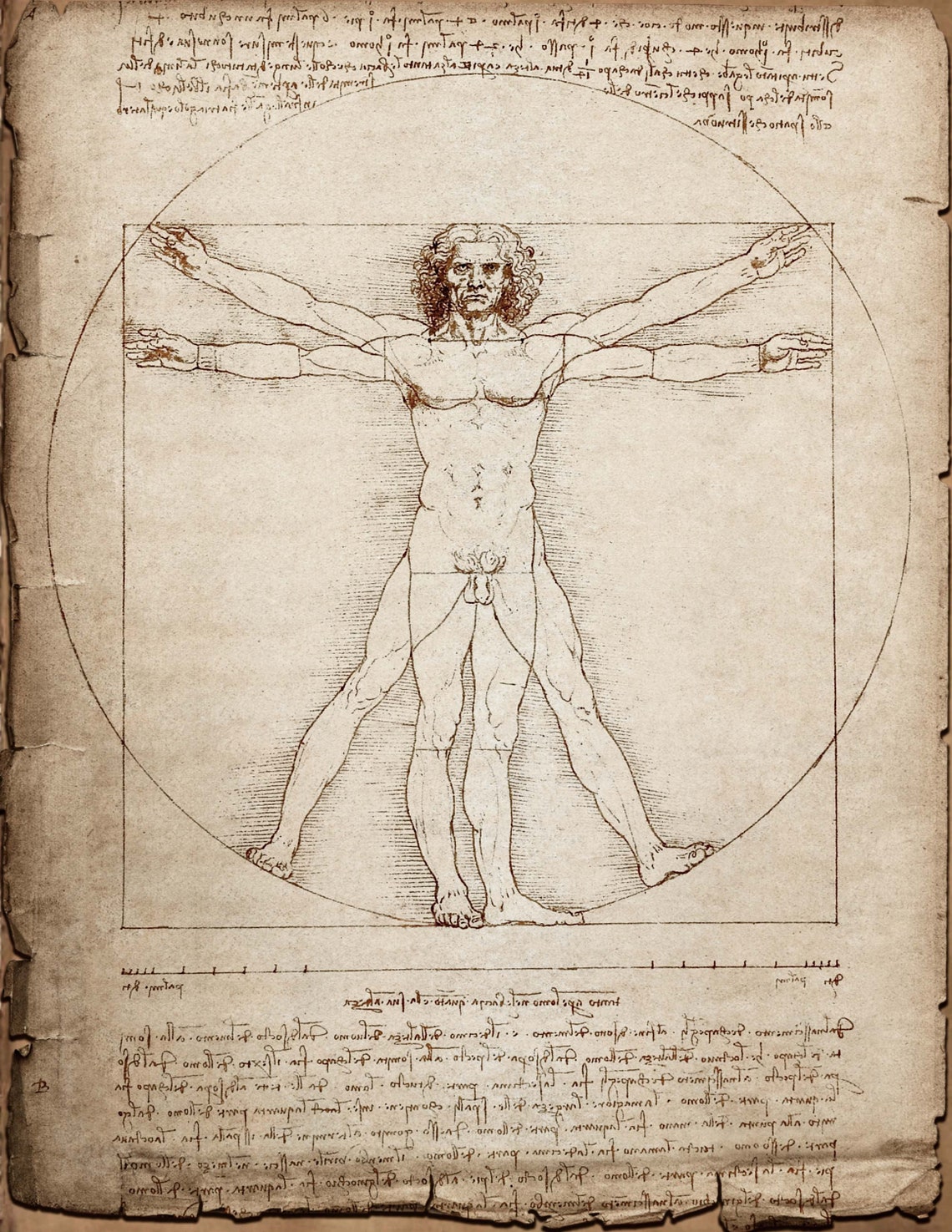 Antique Leonardo Da Vinci Printable Papers for Junk Journal | Etsy Canada