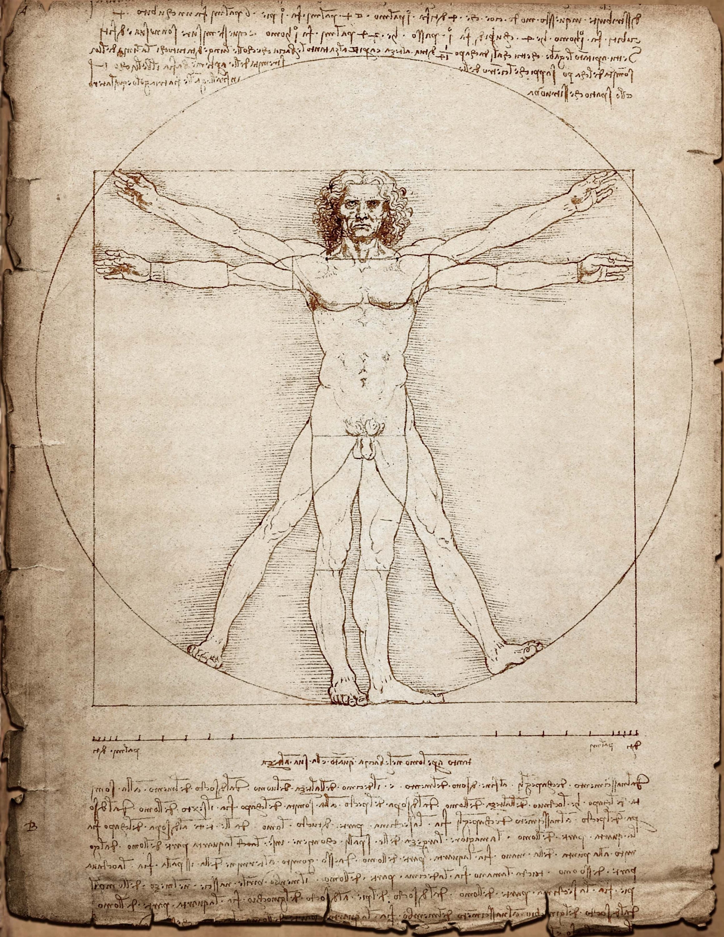 Antique Leonardo Da Vinci Printable Papers for Junk Journal | Etsy