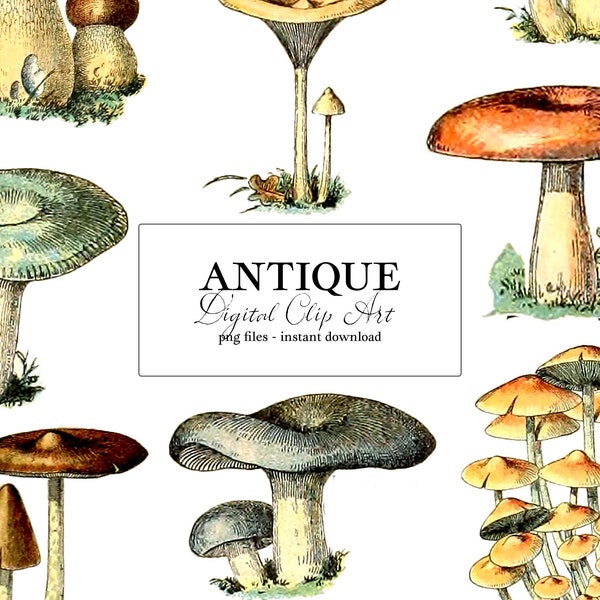 Mushrooms Clip Art - Etsy