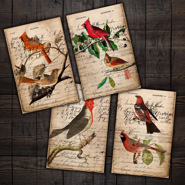 Cardinal Printable - Etsy