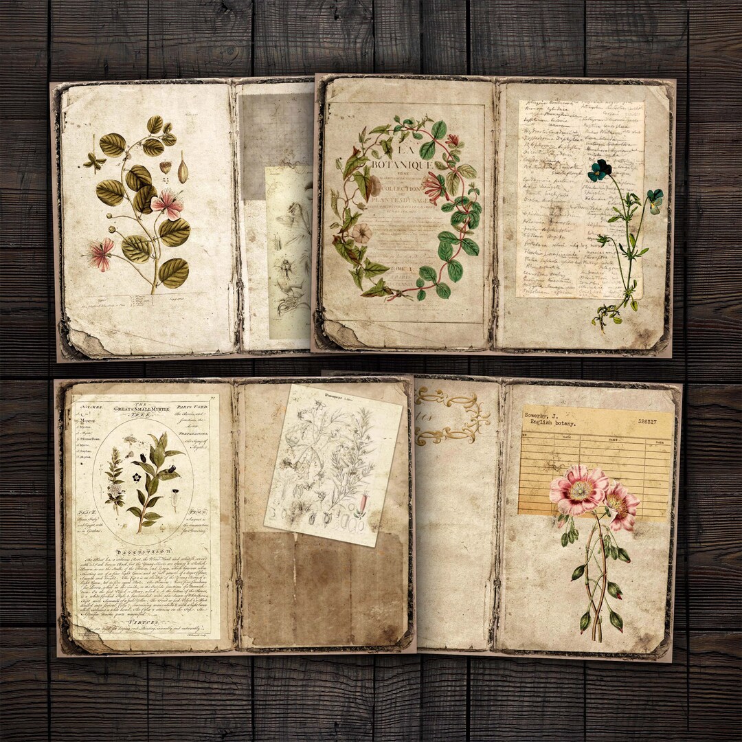 Digital Antique Botanical Pages, Printable Kit for Junk Journals ...