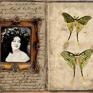 Forest Gypsy Junk Journal Pages, Printable Boho Ephemera (digital ...