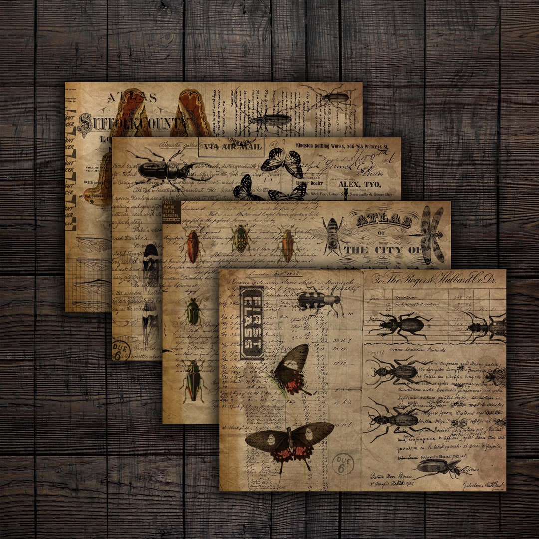Junk Journal Insects Entomology Printable Paper, Background Ephemera ...