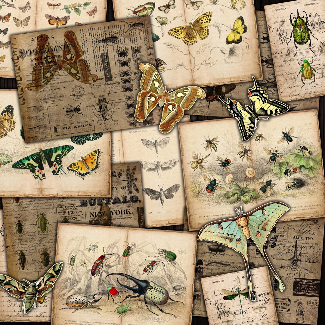 Digital Bundle Insects and Butterflies Kit, Printable Ephemera for Junk ...