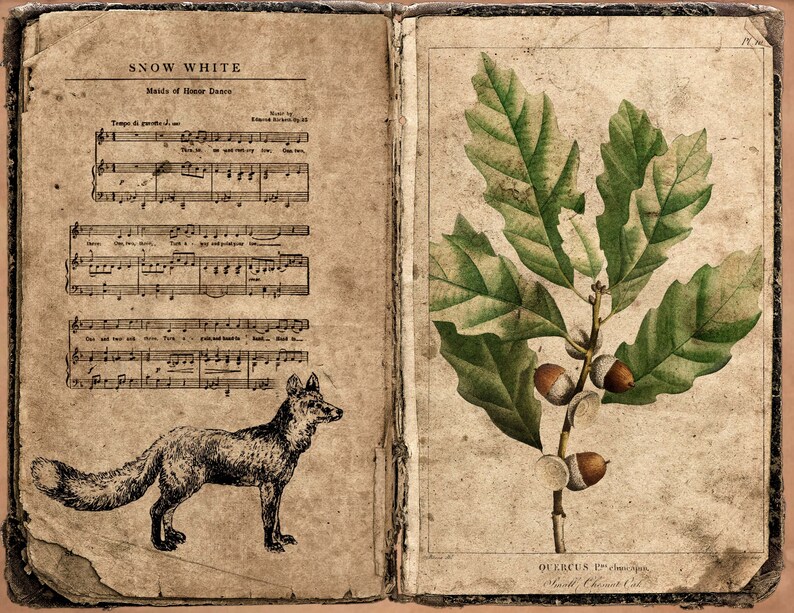 Snow White Printable Junk Journal Pages Fairy Tale Ephemera | Etsy