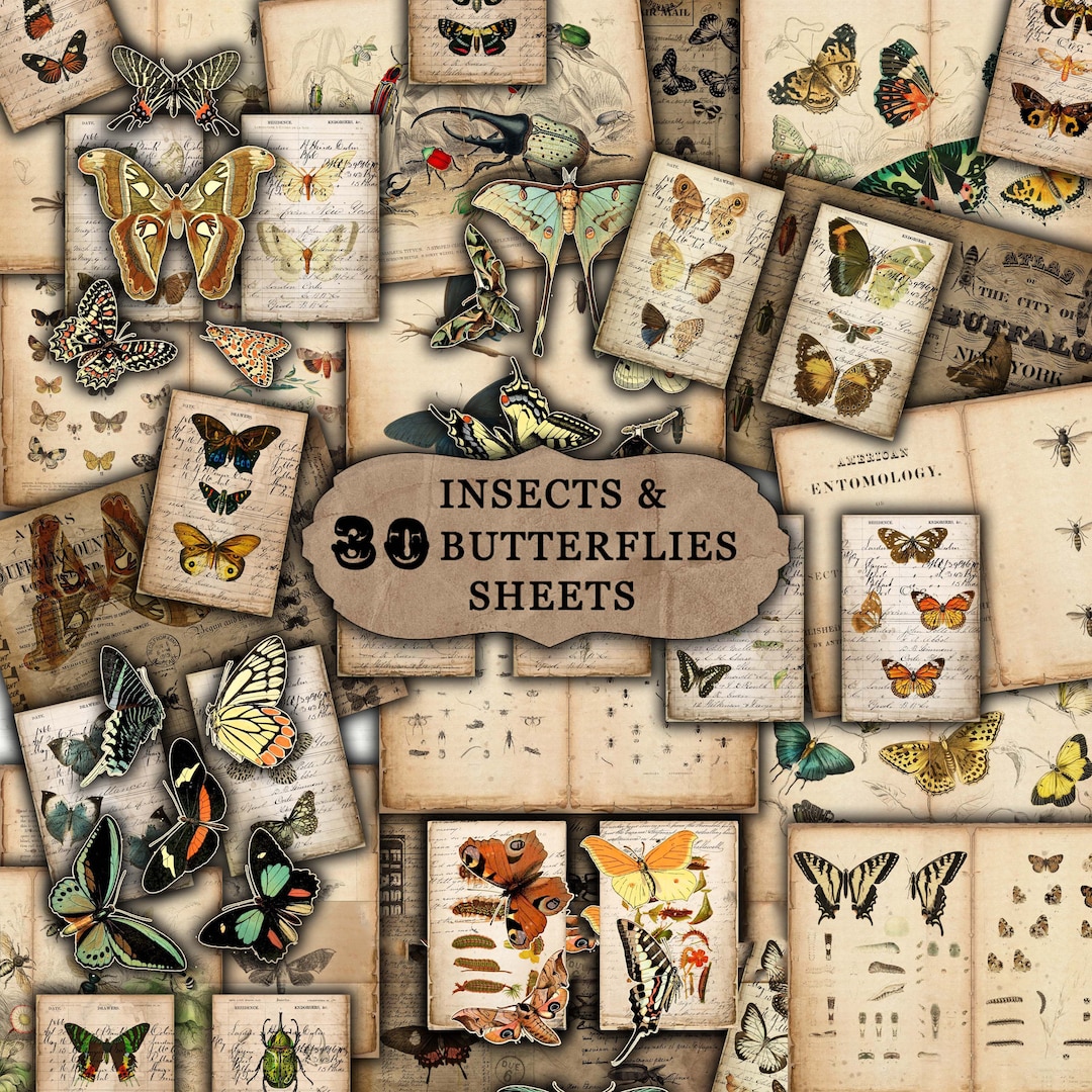 Digital Entomology, Insects and Butterflies Bundle, Printable Ephemera ...