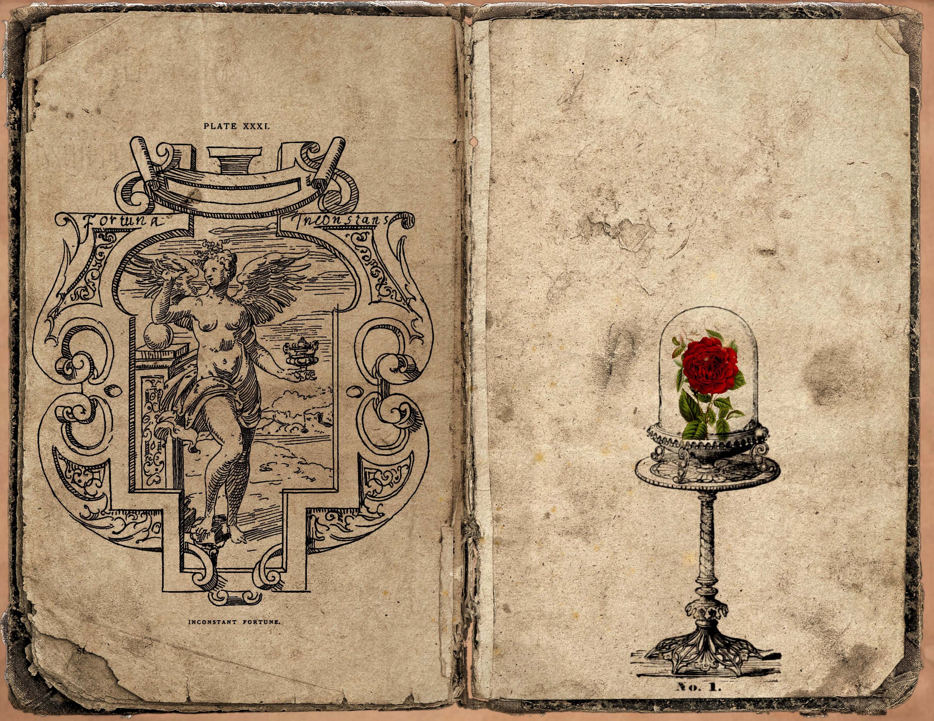 Digital Beauty and the Beast Pages Printable Fairy Tale Kit - Etsy