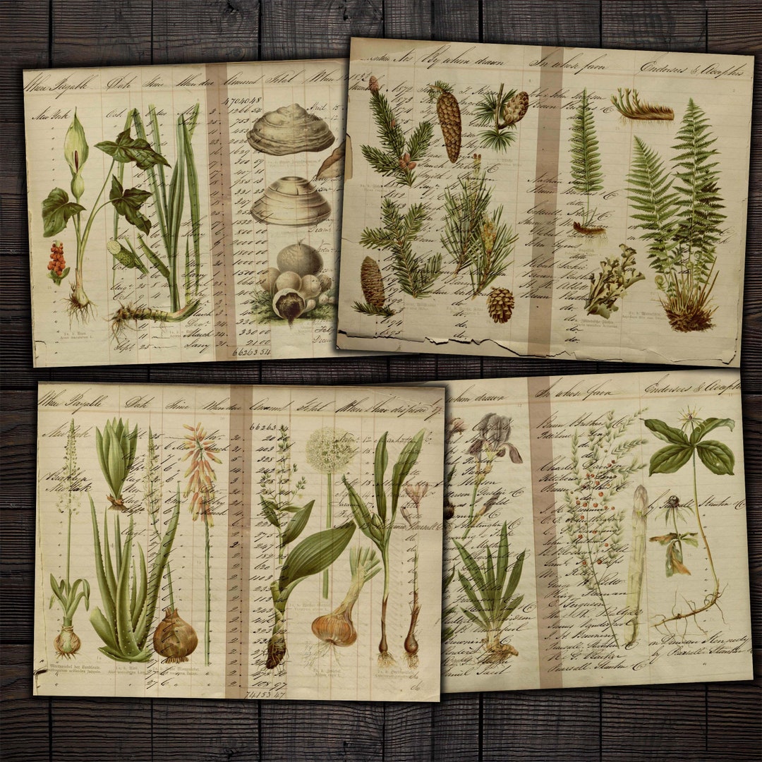 Junk Journal Printable Botanical Pages, Vintage Forest Ephemera for ...