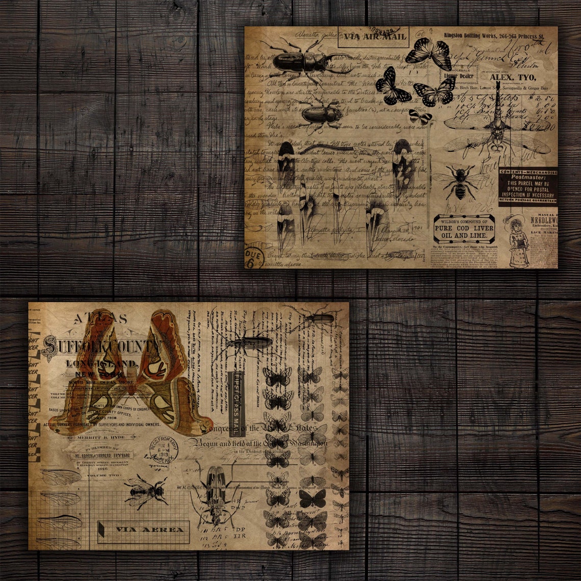 Junk Journal Insects Entomology Printable Paper Background - Etsy
