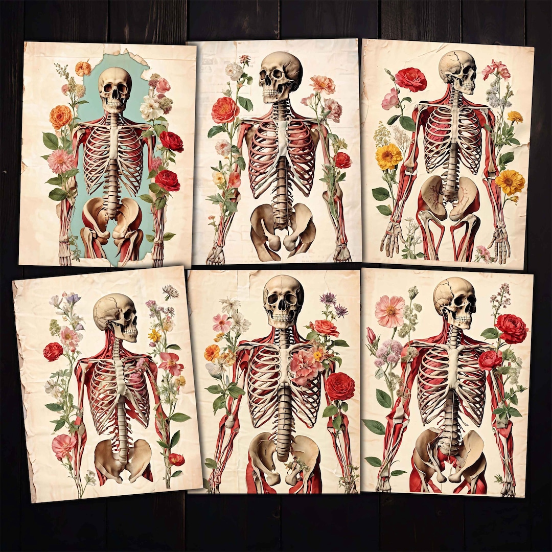 Printable Human Anatomy Skeletons With Flowers Digital Papers for Junk ...