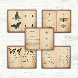 Digital Bundle Insects and Butterflies Kit, Printable Ephemera for Junk ...