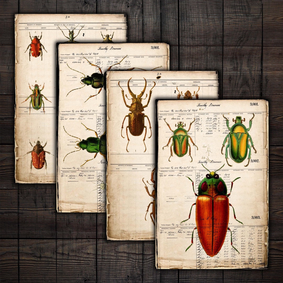 Antique Insects Entomology Ledger Pages, Vintage Beetles Ephemera for ...