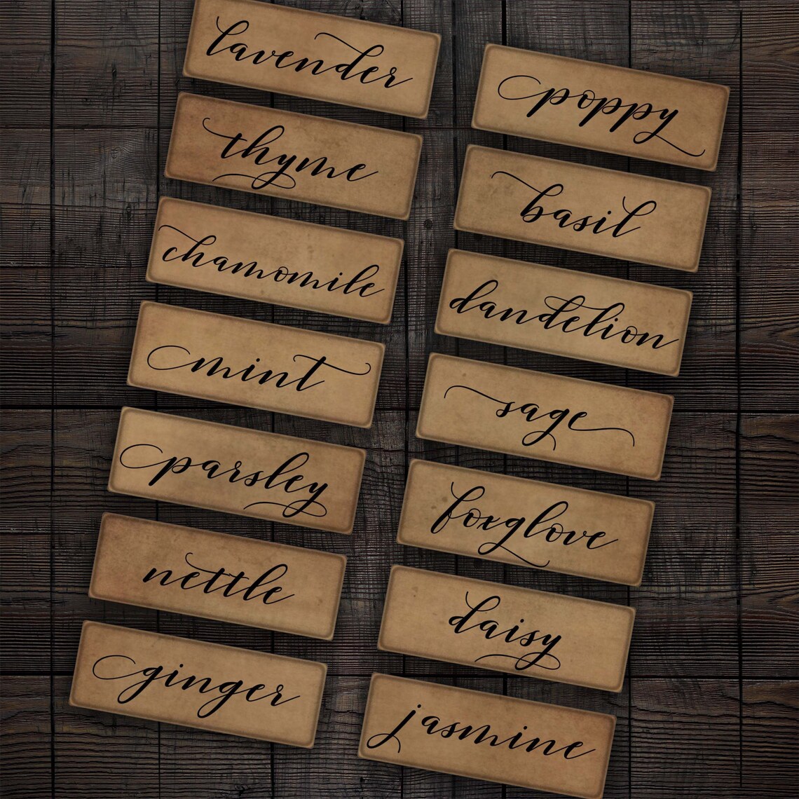 Herb Name Printable Labels: Botanical Kitchen Garden (digital Download ...