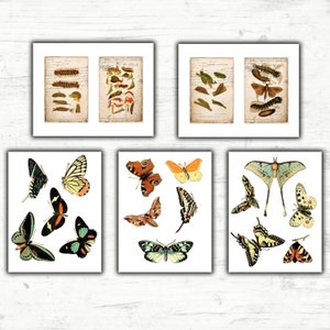 Digital Bundle Insects and Butterflies Kit, Printable Ephemera for Junk ...
