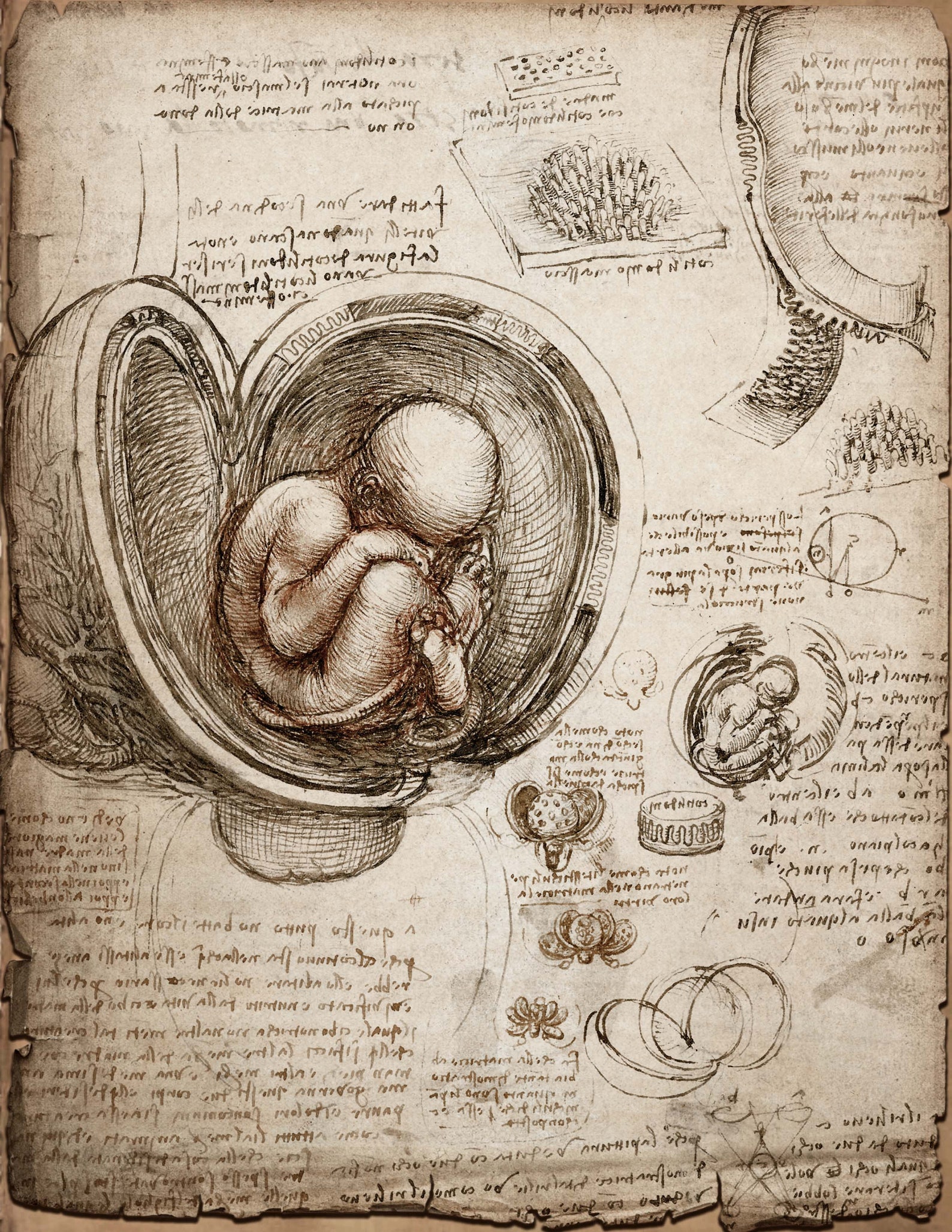 Antique Leonardo Da Vinci Printable Papers for Junk Journal | Etsy Canada