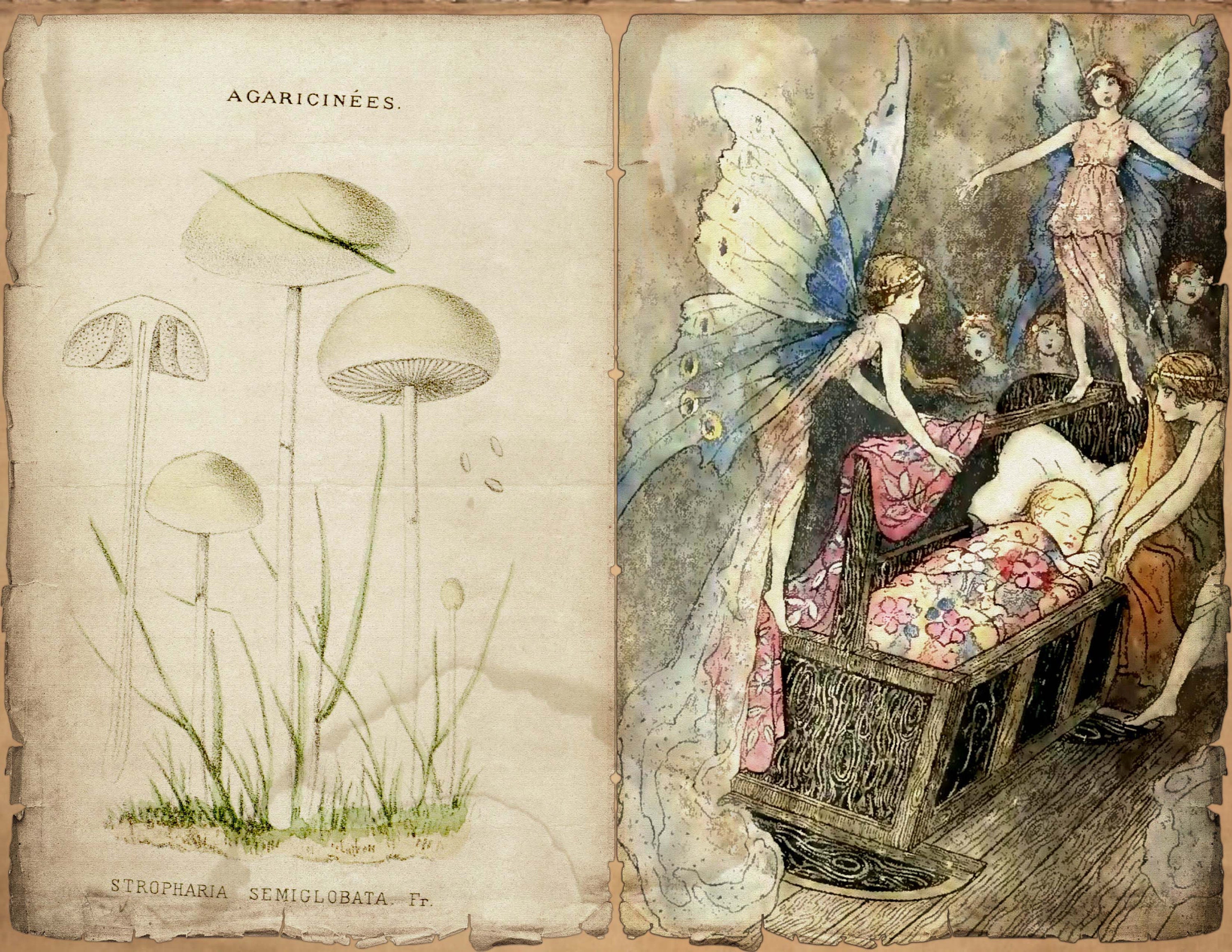 Printable Fairies Junk Journal Kit, Digital Fairy Garden Pages for ...