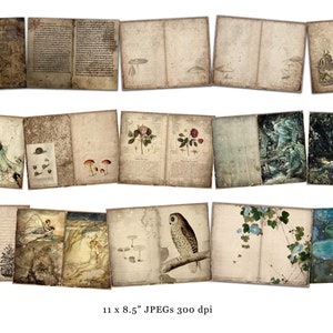 91 Sheets Digital Fairy Tale Bundle for Printable Ephemera, Junk ...