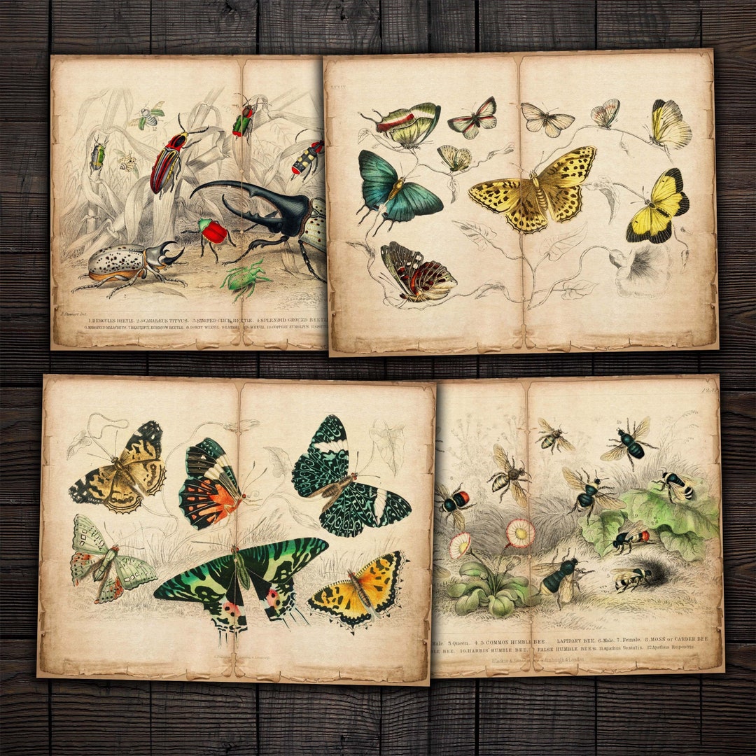 Digital Insects Junk Journal Pages, Bees, Butterflies Ephemera for ...