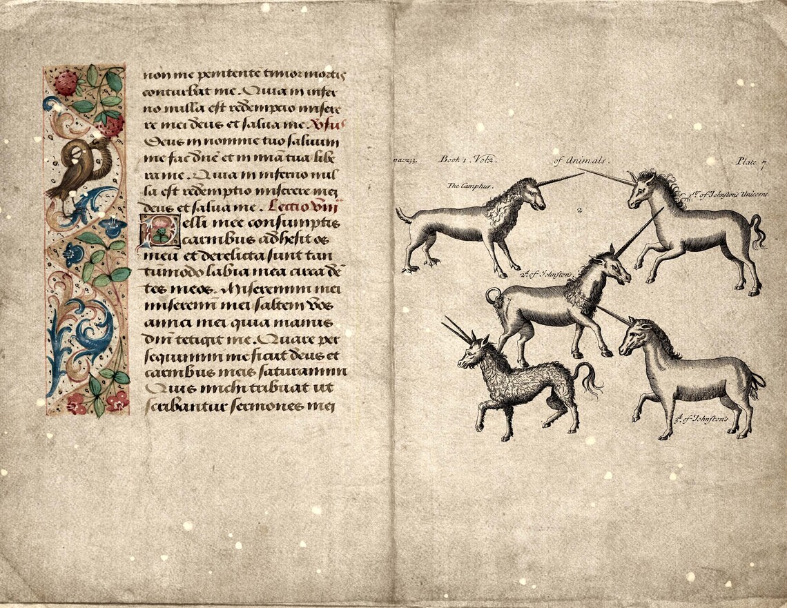 Digital Fairy Tale Medieval Kit Printable Pages for Junk | Etsy