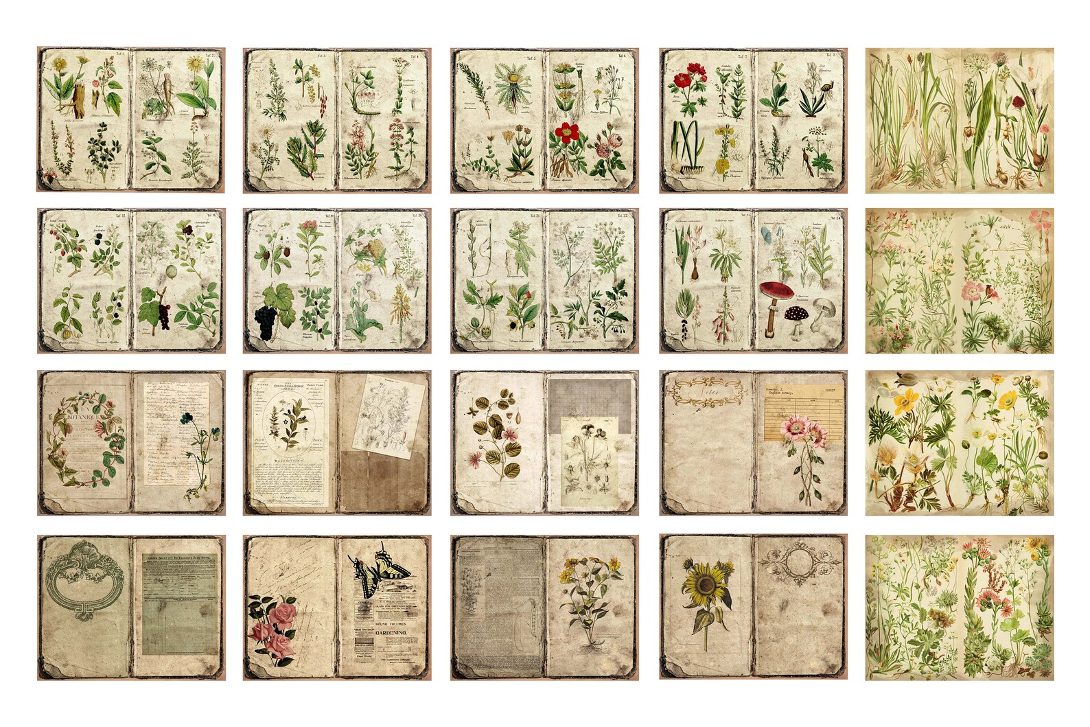 Botanical Printable BUNDLE Digital Pages Papers Ephemera - Etsy