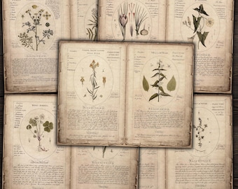 Digital Herbs Botanical Pages Printable Herb Ephemera for | Etsy