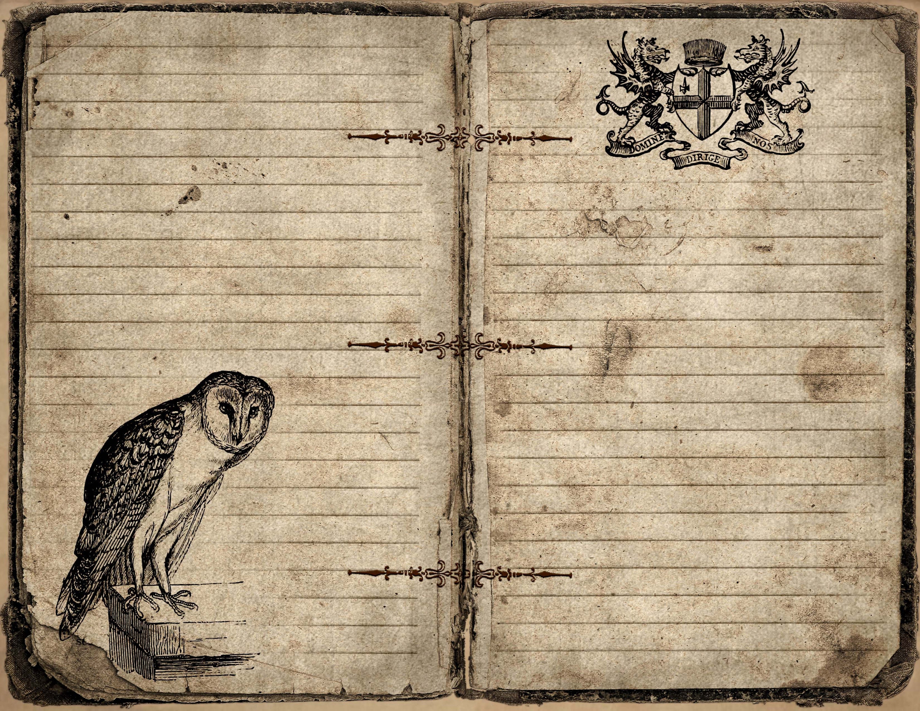 Dark Academia Junk Journal Pages Printable Alchemist Wizard - Etsy