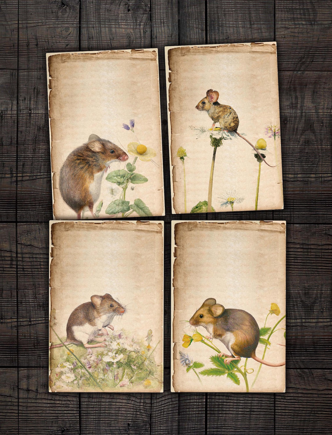 Field Mice and Wildflowers Printable 6x4 Papers for Junk Journal ...
