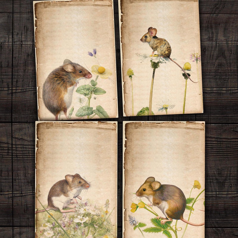 Field Mouse - Etsy