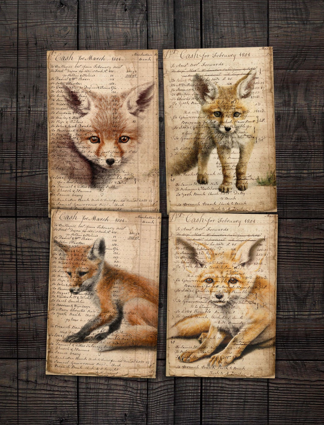 Vintage Fox Ledger Pages, Grunge Documents With Baby Foxes Ephemera for ...