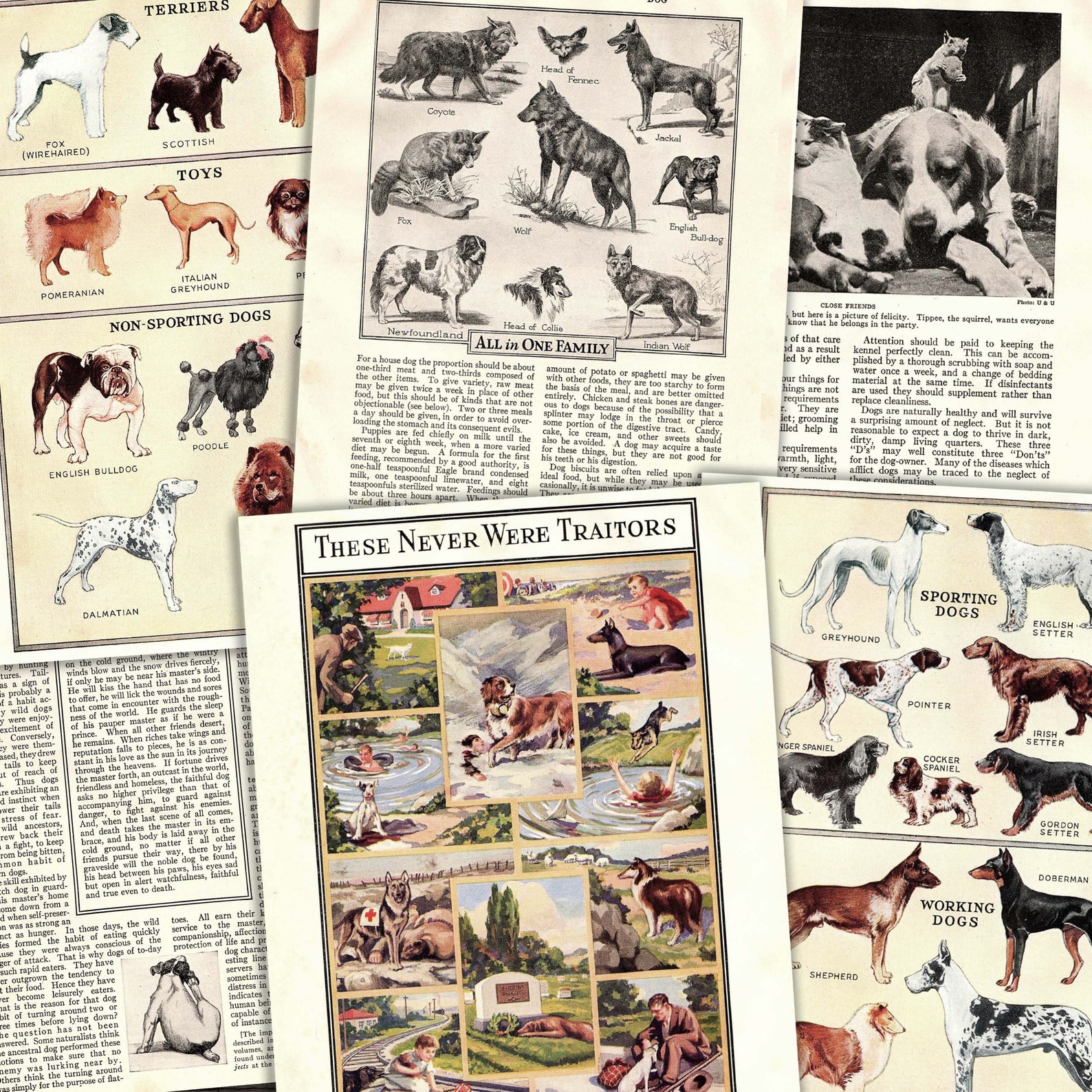 Dog Breeds Printable Ephemera Vintage Digital Book Scans for - Etsy