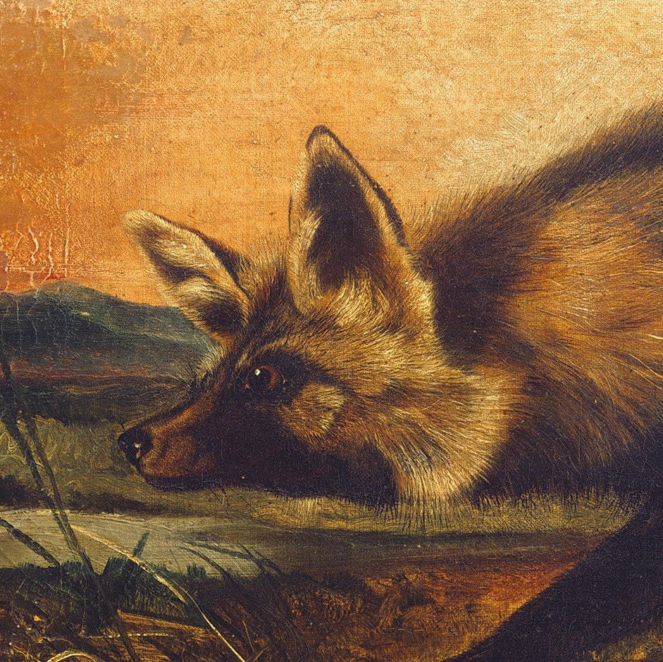 Downloadable Vintage Fox Print, Printable Antique Fox Painting, Digital ...