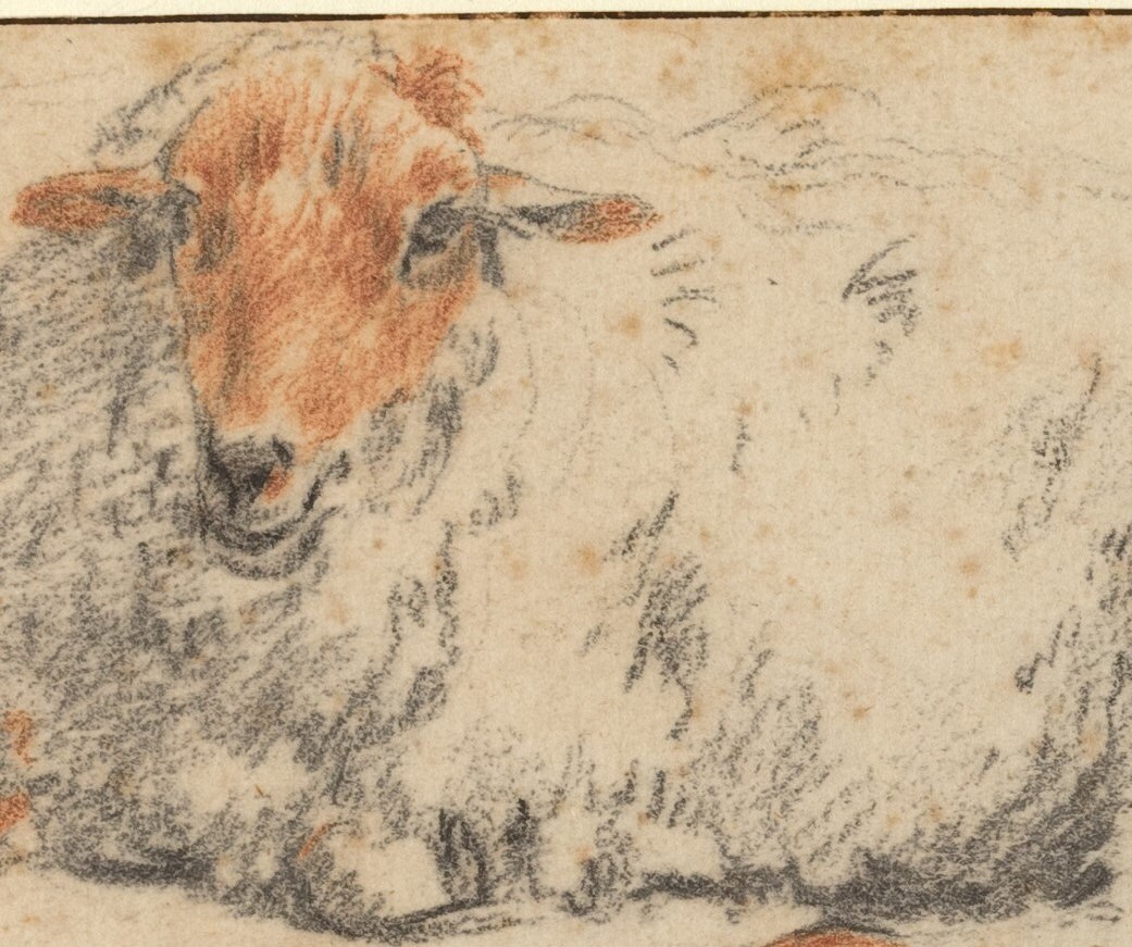 Sheep Painting, Vintage Sheep Print, Vintage Sketch, Farmhouse Wall ...