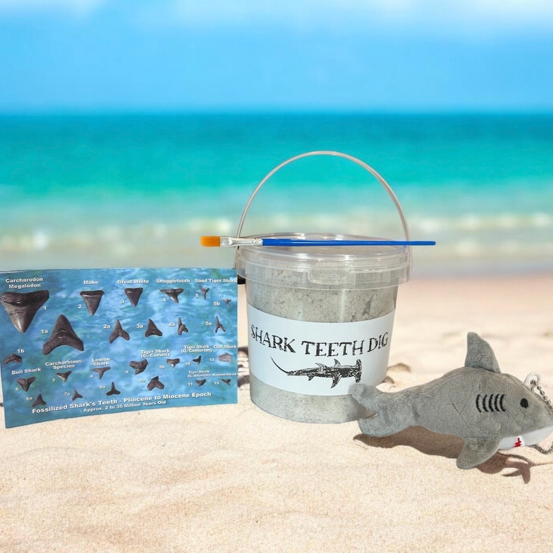 Shark Party Favors - Etsy