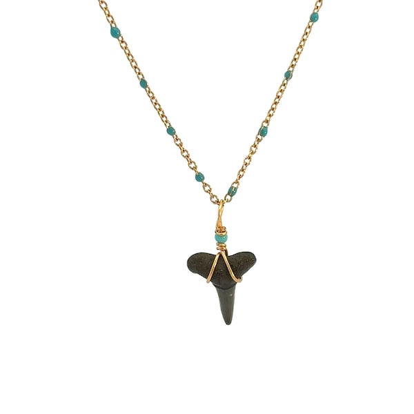 Shark Tooth Necklace - Etsy