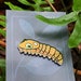 Polyphemus Moth Pin Set - Etsy