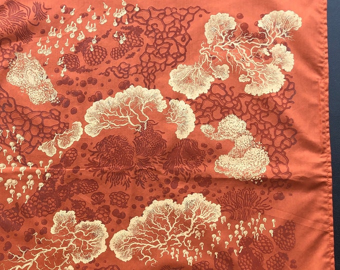 Beautiful Bowknot Silicone Mold-24 Styles Bows Resin Mold-bowknot ...