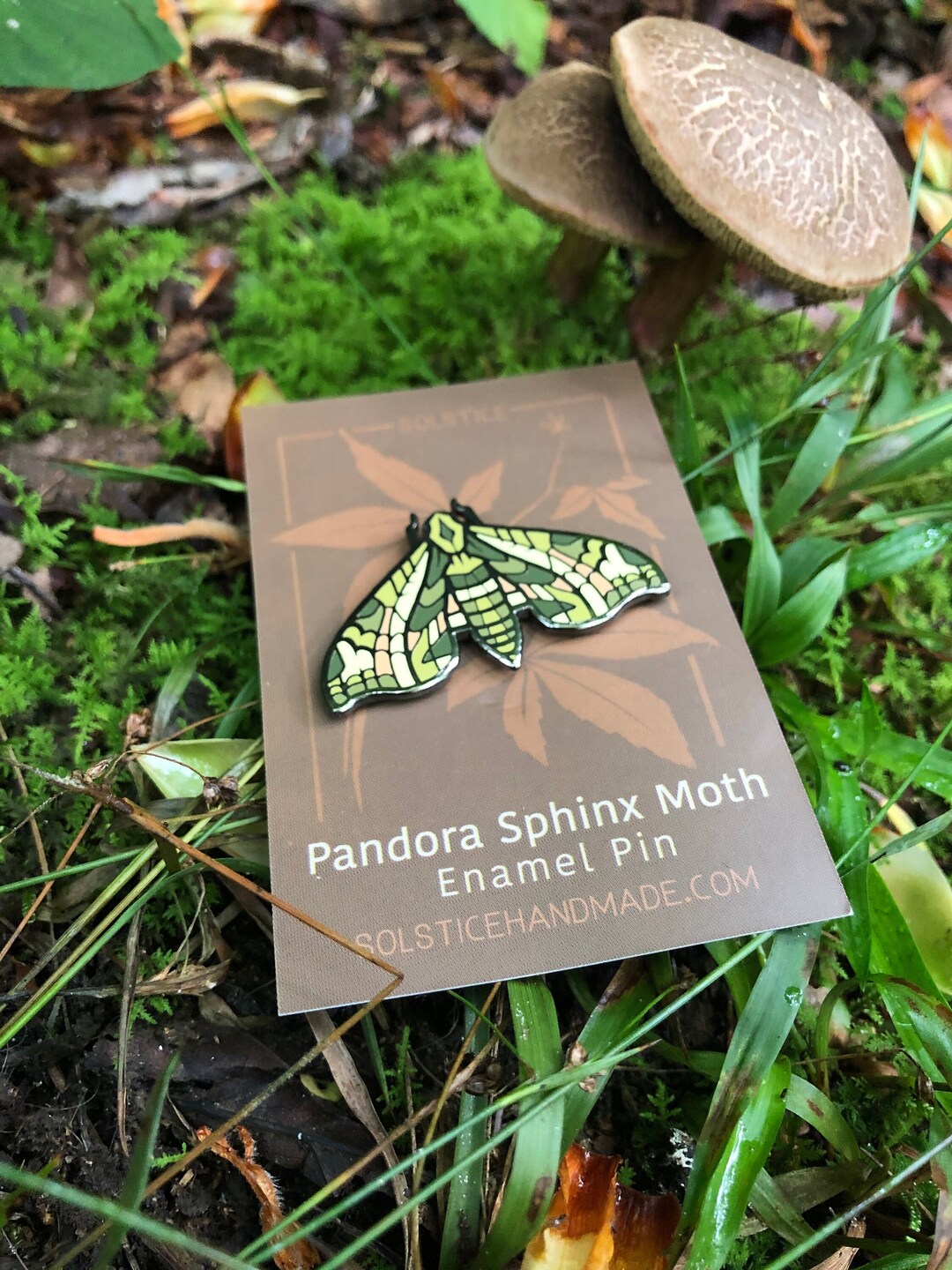 Pandora Sphinx Moth Pin - Etsy