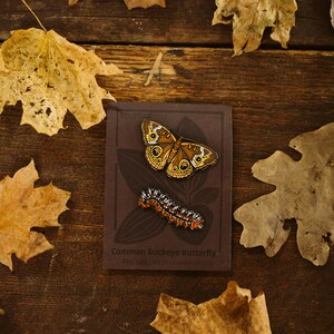 Common Buckeye Butterfly Pin Set - Etsy