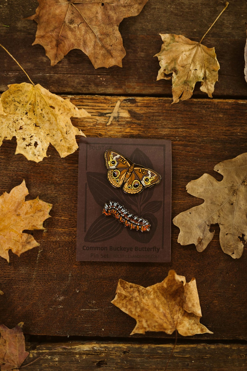 Common Buckeye Butterfly Pin Set - Etsy